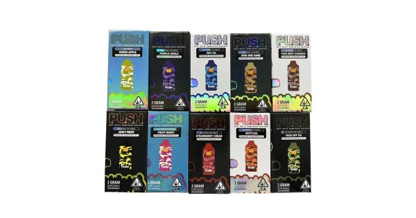Push 2G Disposable Empty Vape Pen Wholesale