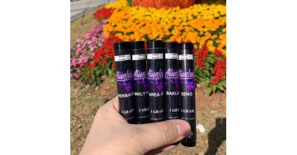 Alien Labs 1 Gram Pre-roll Joint Packaging Tubes Wholesale